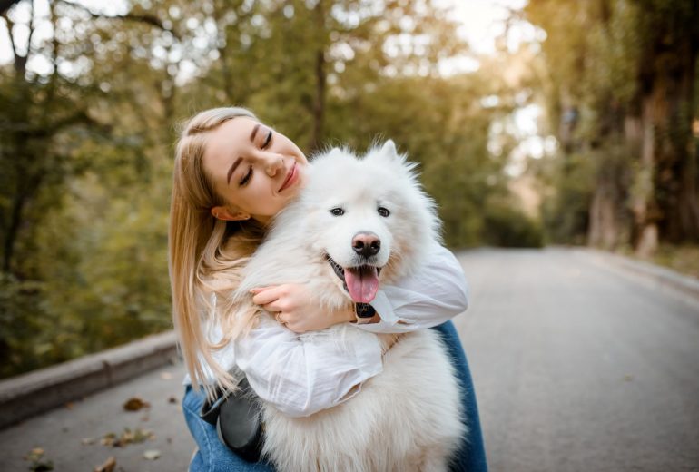 What Are Double Coats, And Do Samoyeds Have One? - Happy Samoyed