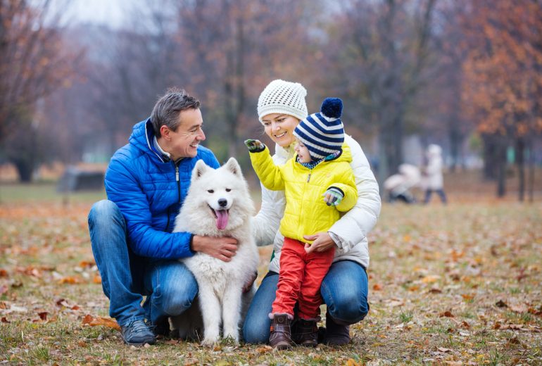 The Best Ideas For Female Samoyed Dog Names - Happy Samoyed